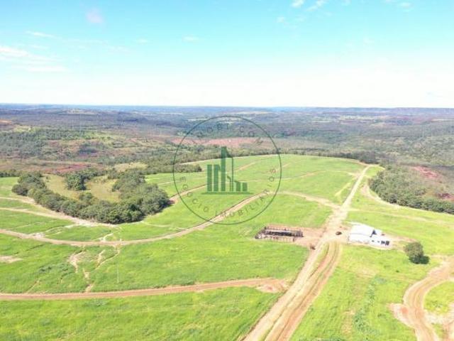 Fazenda Arara Guiratinga MT