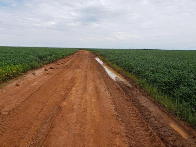 FAZENDA ARGILA 65% PROPICIA PARA ALGODÃO