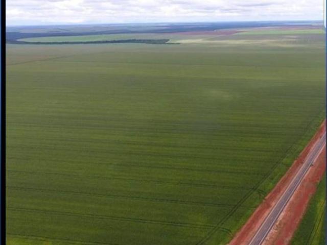 FAZENDA ARGILA ATÉ 65% OTIMA PARA ALGODÃO