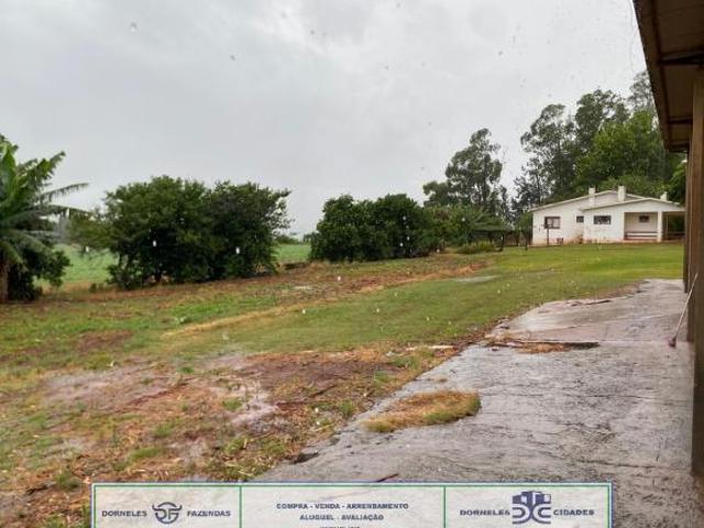 Fazenda, Área de Lavoura, Capão do Cipó, RS