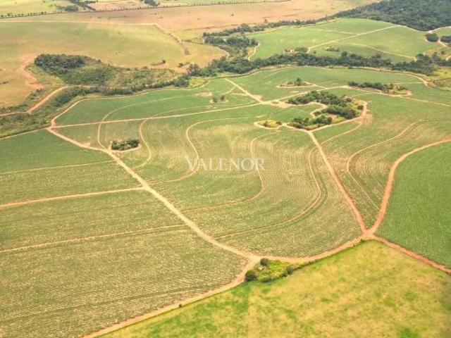 Fazenda, Área rural com 79 hectares em Indaiatuba, SP