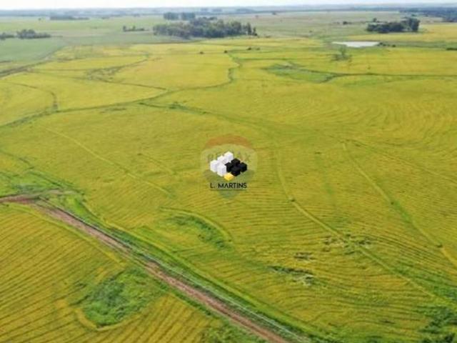 Fazenda Área Rural a Venda em Alegrete Lavoura Arroz e Soja