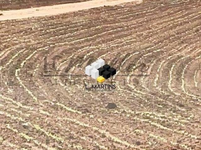 Fazenda Área Rural a Venda em Arroio dos Ratos RS Lavoura Pecuária