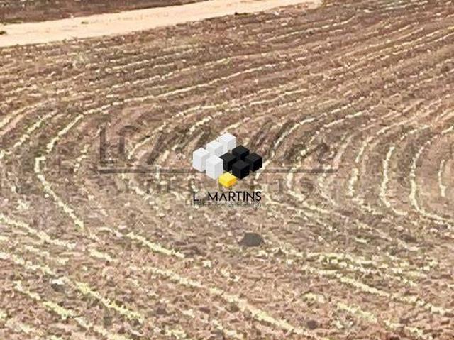 Fazenda Área Rural a Venda em Arroio dos Ratos RS Lavoura Pecuária
