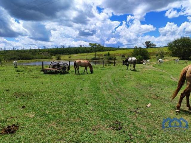 Fazenda, Área Rural de Botucatu, Botucatu, SP