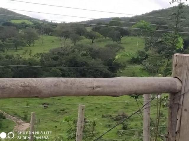 Fazenda, Área Rural de Pará de Minas, Pará de Minas, MG