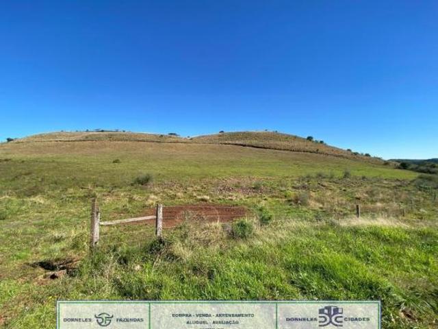 Fazenda, Área Rural, Santiago, RS