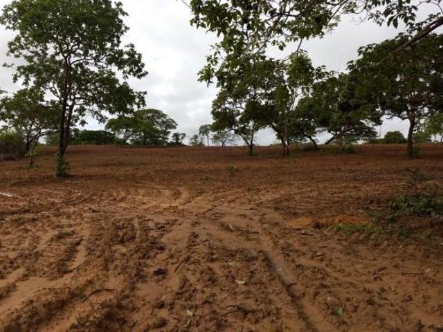 FAZENDA ARINUS EM MINAS GERAIS DE 90 HECTARES PODE PEGAR FINANCIAMENTO TODA FORMADA 6198150 8787