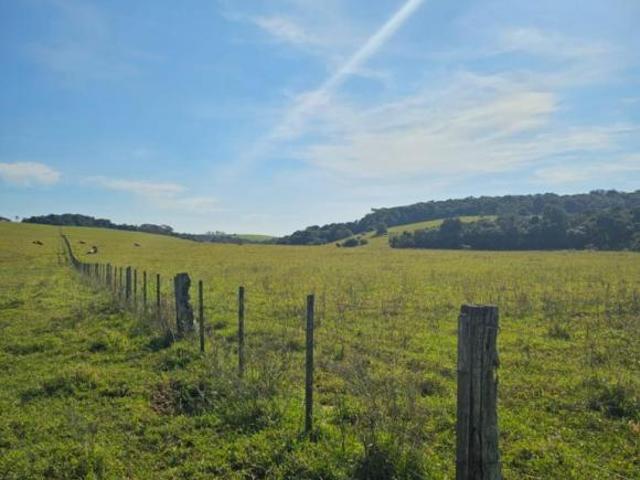 Fazenda Bairro Centro