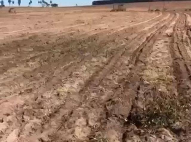 FAZENDA BARRA BONITA