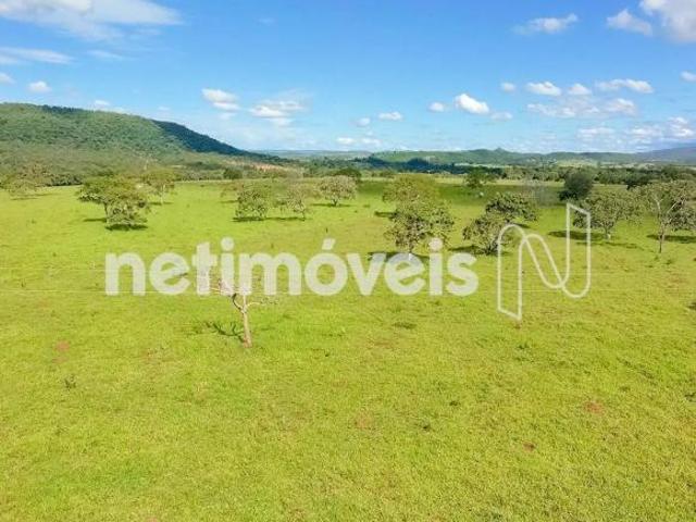 Fazenda beira de pista a 22km de unai, 90 hectares e com pasto formado