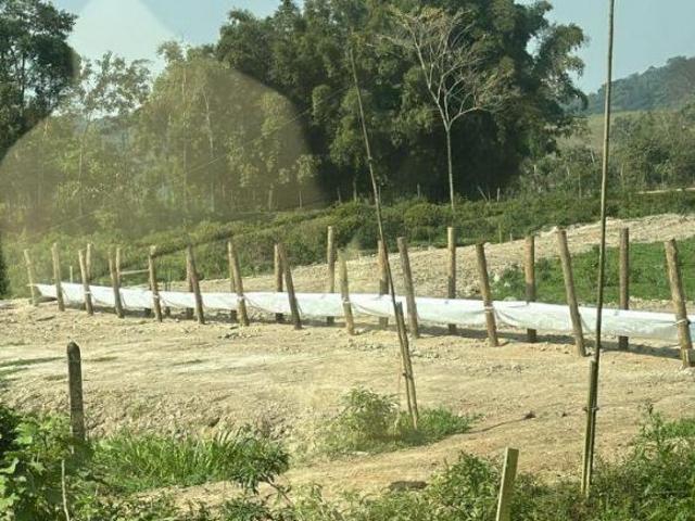FAZENDA BELA VISTA EM REGISTRO SP COD: 6014 F: 11 97302 9229 CESAR