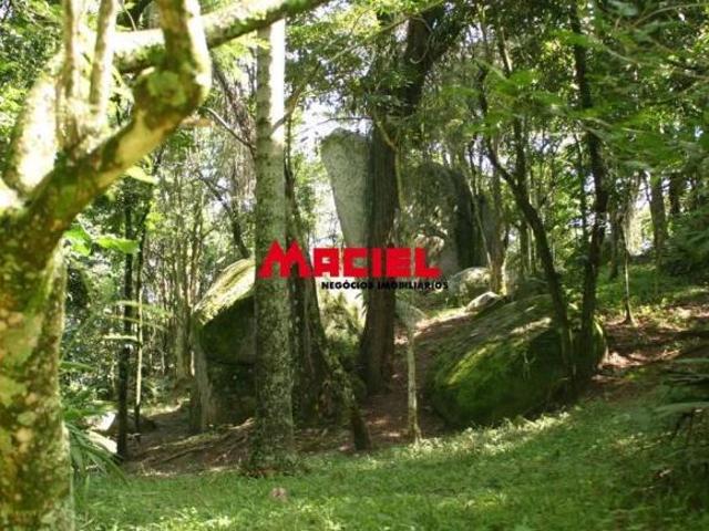 Fazenda Boa Vista Roseira Ótima Localização