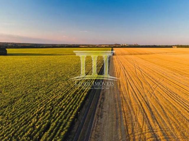 FAZENDA BOA PARA DUPLA APTIDAO