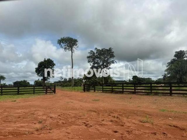 FAZENDA BOM JESUS MATO GROSSO
