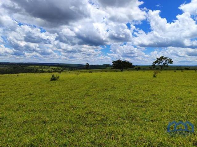Fazenda, Botucatu, SP