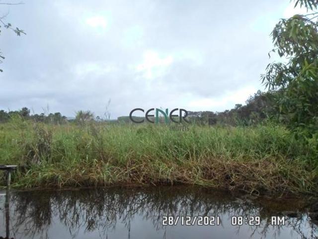 Fazenda bruta de 1000 ha para lavoura, pecuária, eucalipto