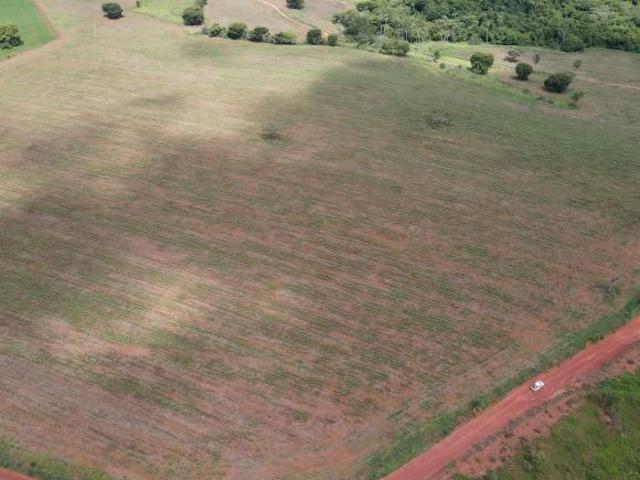 FAZENDA CULTIVADA NA ZONA RURAL DE PATROCÍNIO/MG