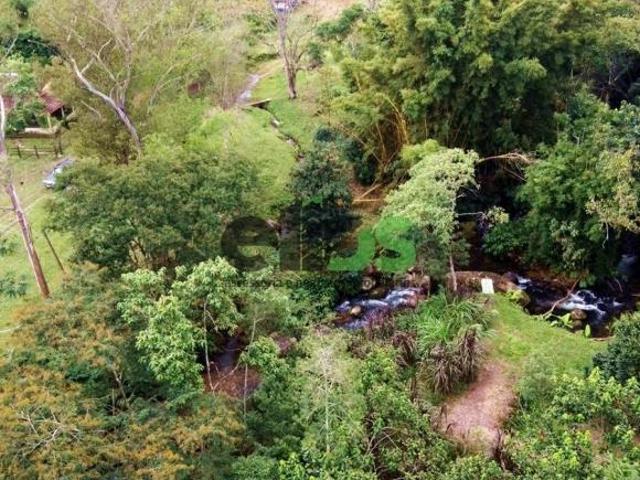 Fazenda c/ CACHOEIRA, NASCENTES DE ÁGUA E PLATÔS NATURAIS, 36 alqueires à venda por R$6.500.000,00