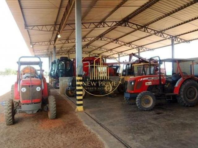 Fazenda Cafeeira a venda 2.050 hectares em Buritizeiro Minas Gerais