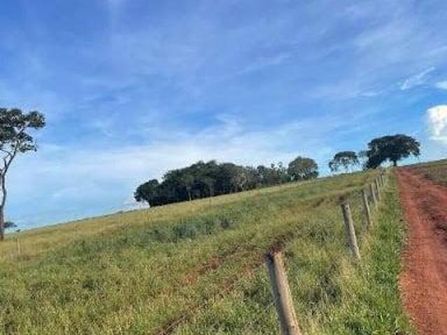 Fazenda cafeeira a venda, beira da BR
