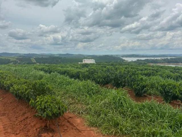 Fazenda Cafeeira I Região de Alfenas/MG – 138 Hectares de Alta Tecnologia e Margem
