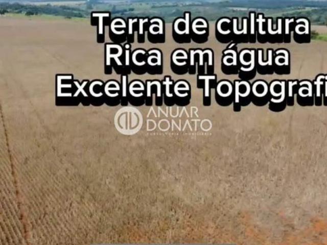 Fazenda Camargos | 490 Hectares | Luz MG