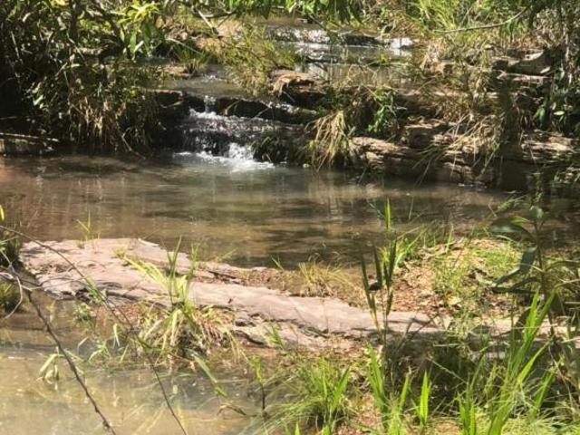 Fazenda Canabrava à Venda – Município Flores, GO