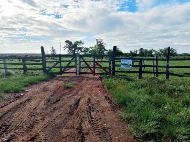 Fazenda, Carumbé, Uruguaiana, RS