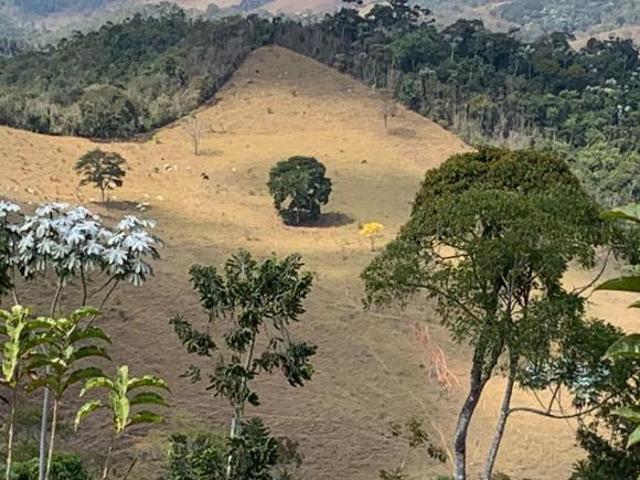 FAZENDA CENTENÁRIA C/ 200 HECTARES À VENDA EM RIO ESPERA/MG