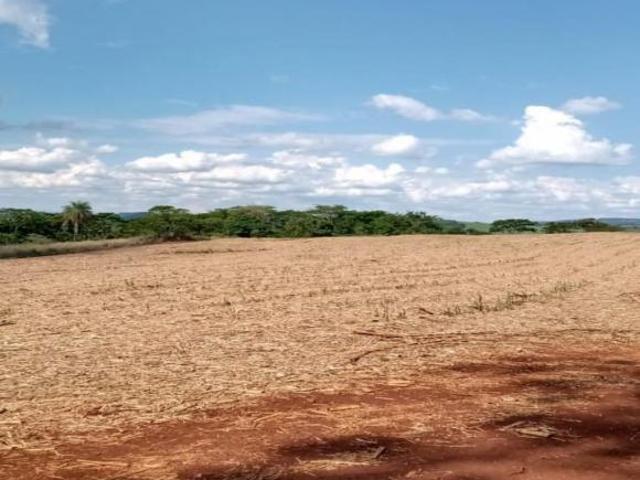 Fazenda, Centro, Altinópolis, SP