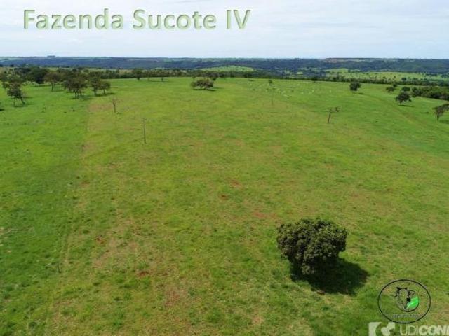Fazenda, Centro, Campina Verde, MG