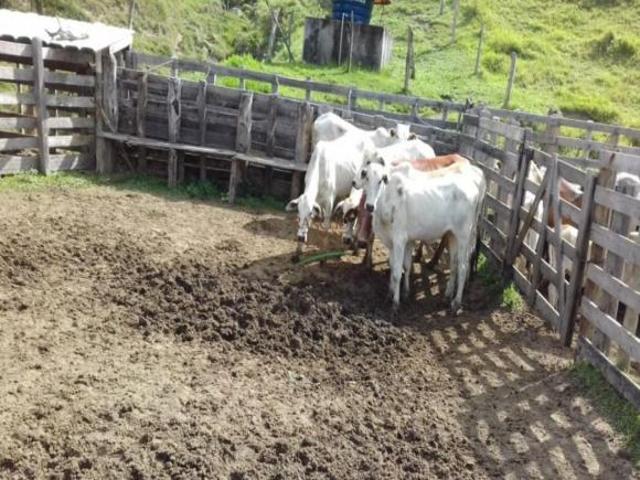Fazenda, Centro, Cunha, SP