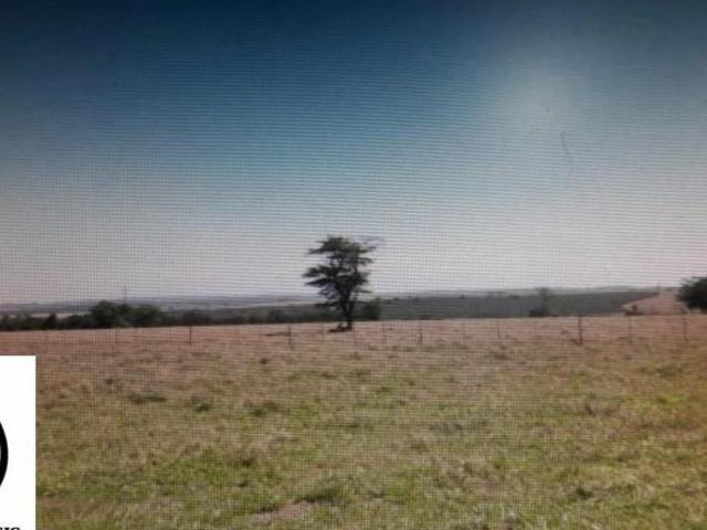 Fazenda, Centro, Franca, SP