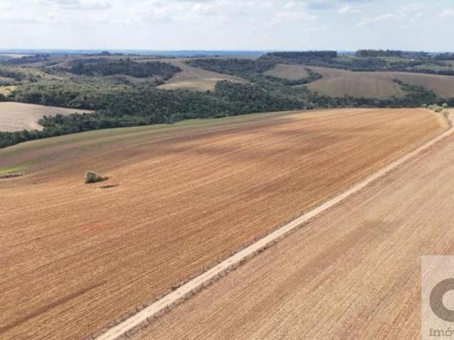 Fazenda, Centro, Itapetininga, SP