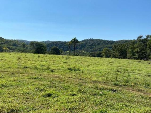 Fazenda, Centro, Paracatu, MG