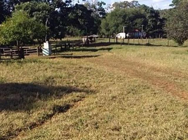 Fazenda à venda em São Pedro da Cipa MT, bairro Cidade São Pedro da Cipa, com 75.000,00 m² de área!