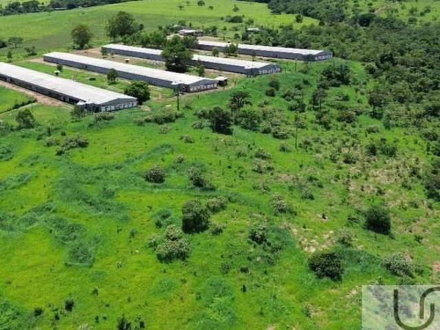 FAZENDA COCALZINHO GO