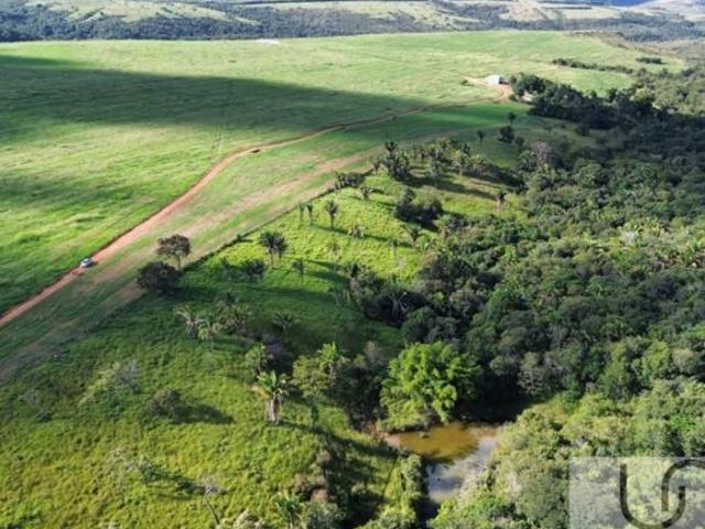FAZENDA COCALZINHO GOIÁS