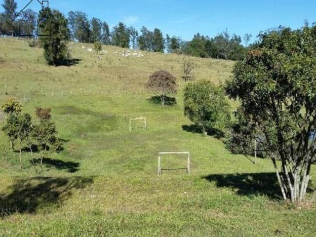 FAZENDA COM 40 ALQUEIRES EM MORUNGABA!