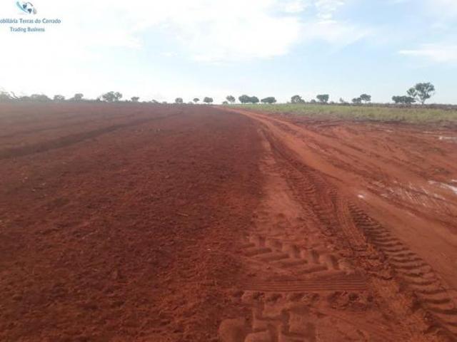 FAZENDA COM 435 HECTARES ARRENDADA PRA CANA