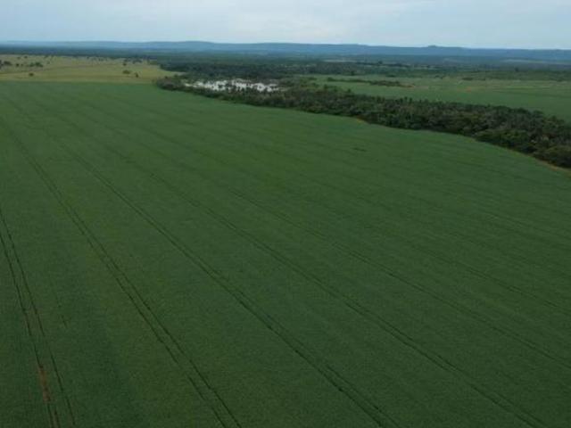 FAZENDA COM 464 HECTARES NA REGIÃO NOBRES MT