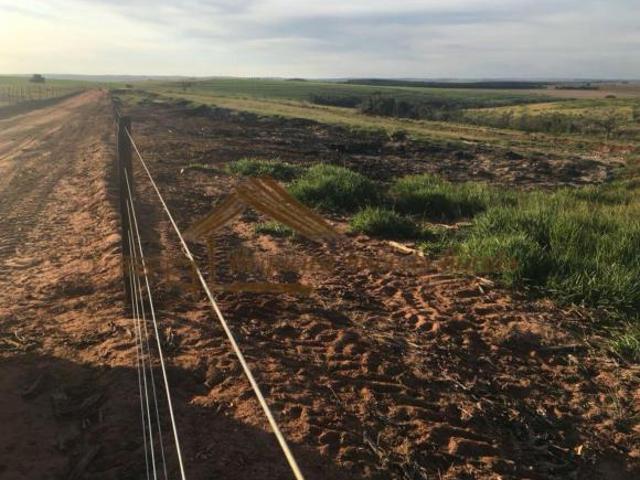 Fazenda com 46 alqueires na região de Águas de Santa Barbara SP