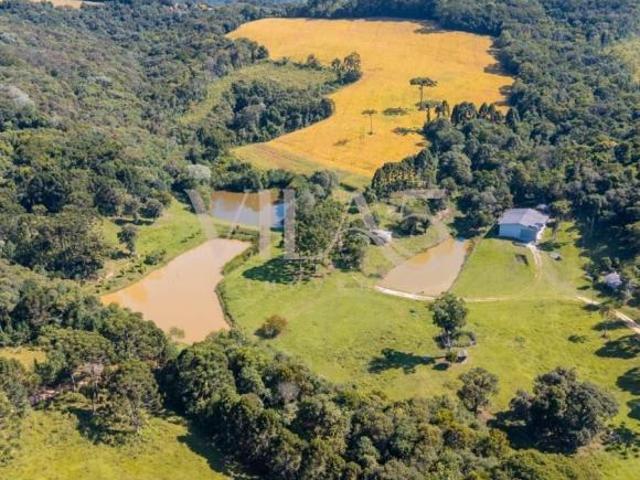 Fazenda com 46 Alqueires Próxima de Curitiba