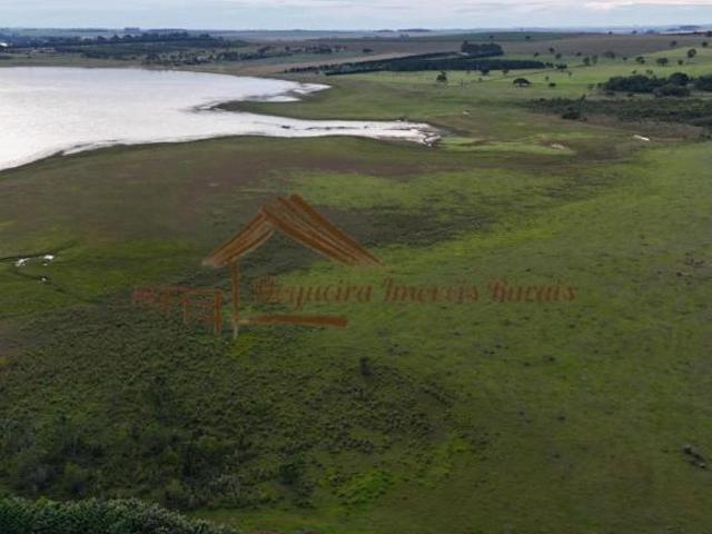 Fazenda com 48 alqueires à venda em Avaré SP