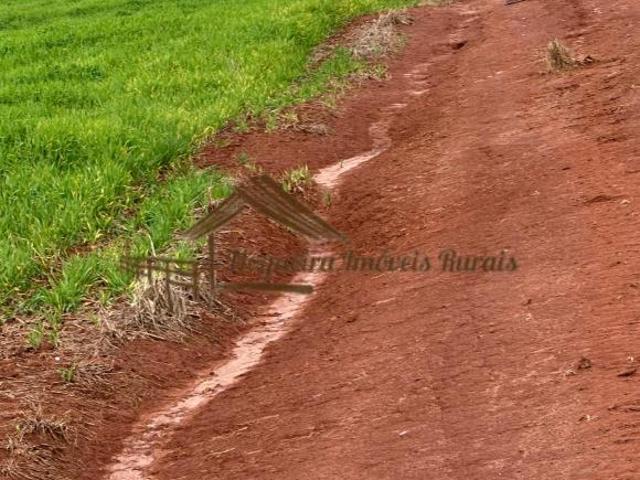 Fazenda com 48 alqueires na região de Avaré SP