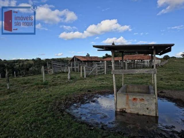 Fazenda com 48 alq. bem localizada em Itapetininga