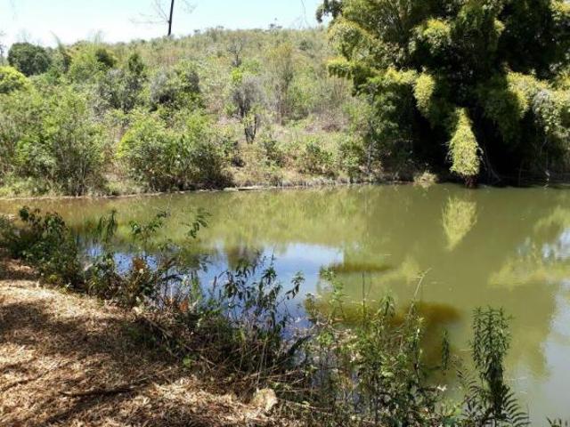 Fazenda com 4 dormitórios à venda, 350000 m² por R$ 1.800.000,00 Matadouro Lamim/MG
