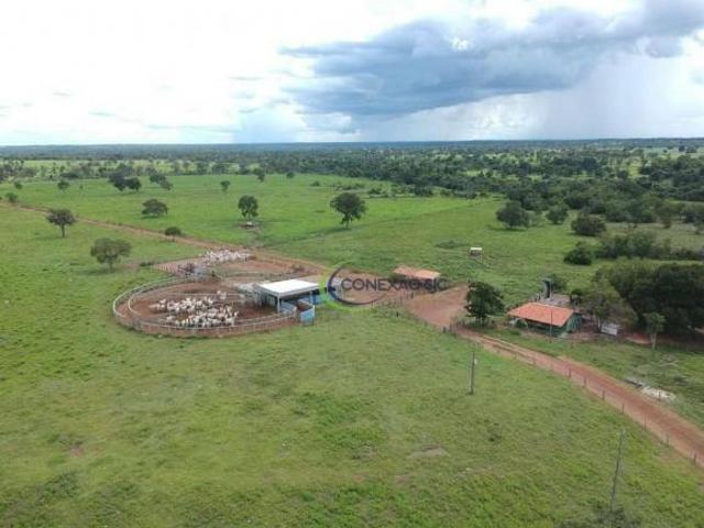 Fazenda com 4 dormitórios à venda, 39224913 m² por R$ 200.000.000,00 Centro Bonópolis/GO