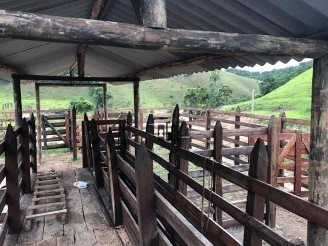 Fazenda com 4 dormitórios à venda, 700000 m² por R$ 1.499.000,00 Centro Juiz de Fora/MG